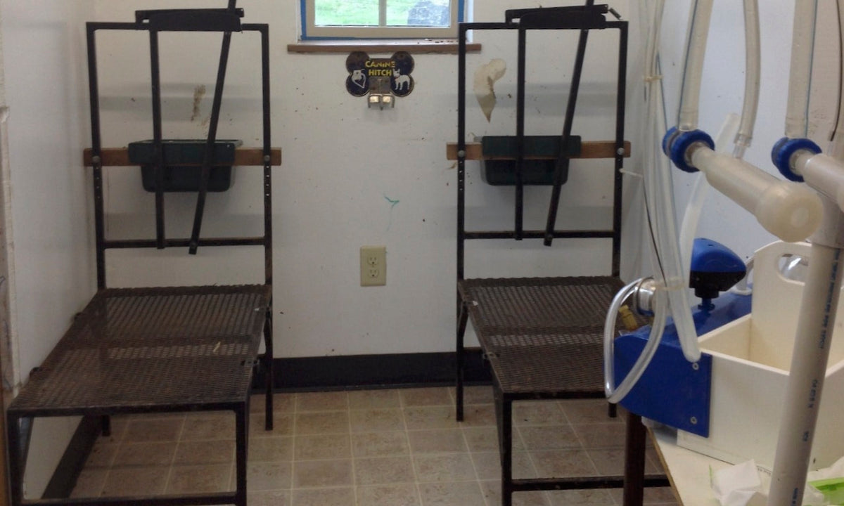 What makes a good milk room? – Simple Pulse